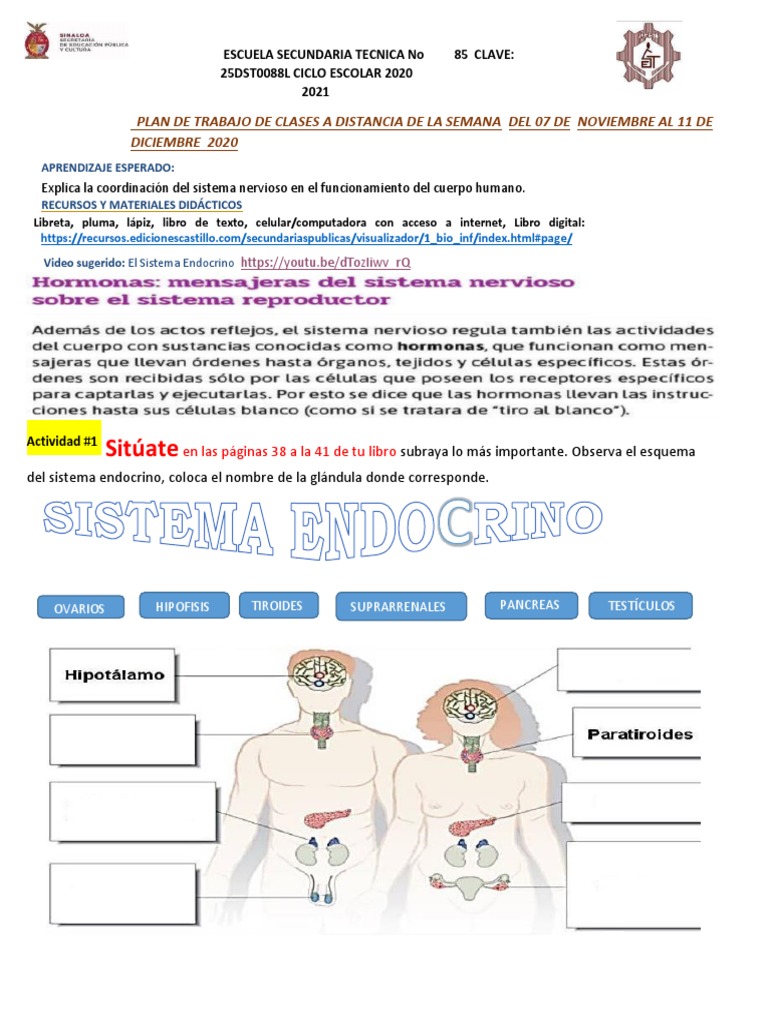 Planeacion BIOLOGÍA Del 7 Al 11 de Diciembre | PDF | Sistema endocrino ...