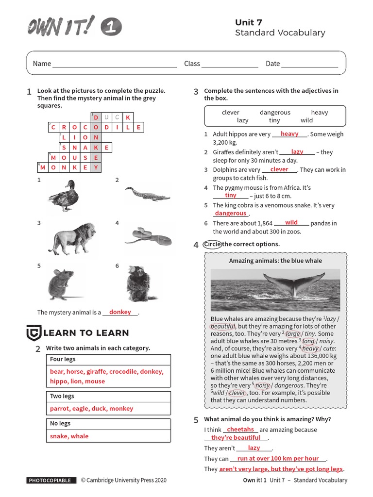 Vocabulary Standard Unit7 With Answers | PDF | Mammals