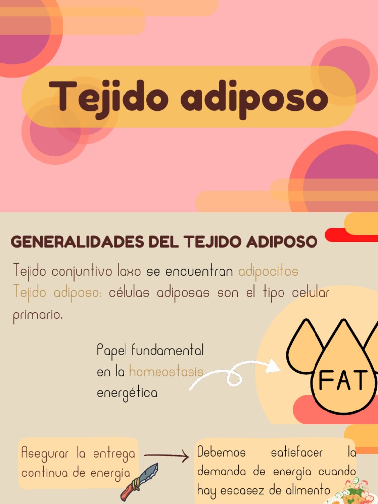 Tejido Adiposo PDF | PDF | Tejido adiposo | Leptina