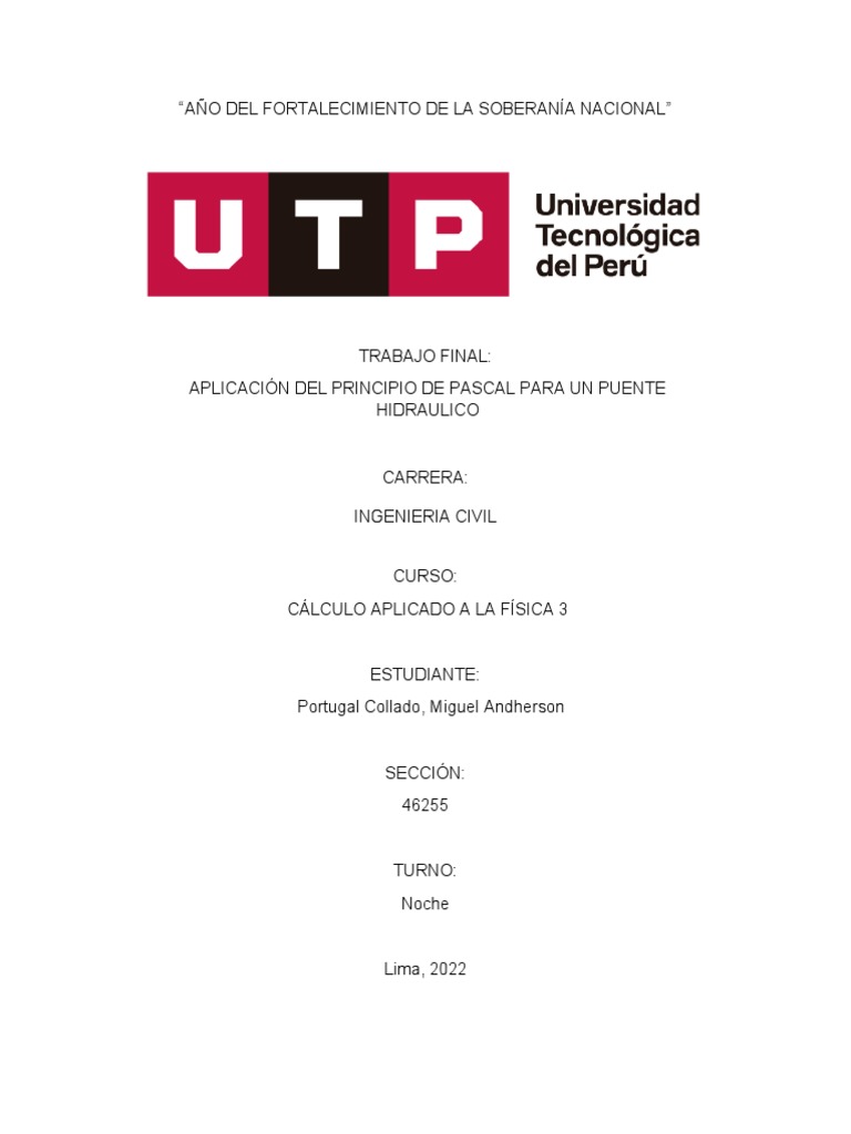 3.17 Trabajo Final - CAF3 - Avance N°1 | PDF | Tecnología