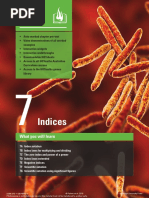 Year 9 Indices Practice Test | PDF