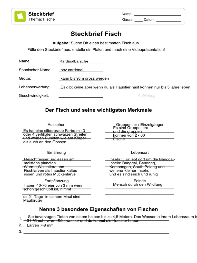 Steckbrief Fisch | PDF