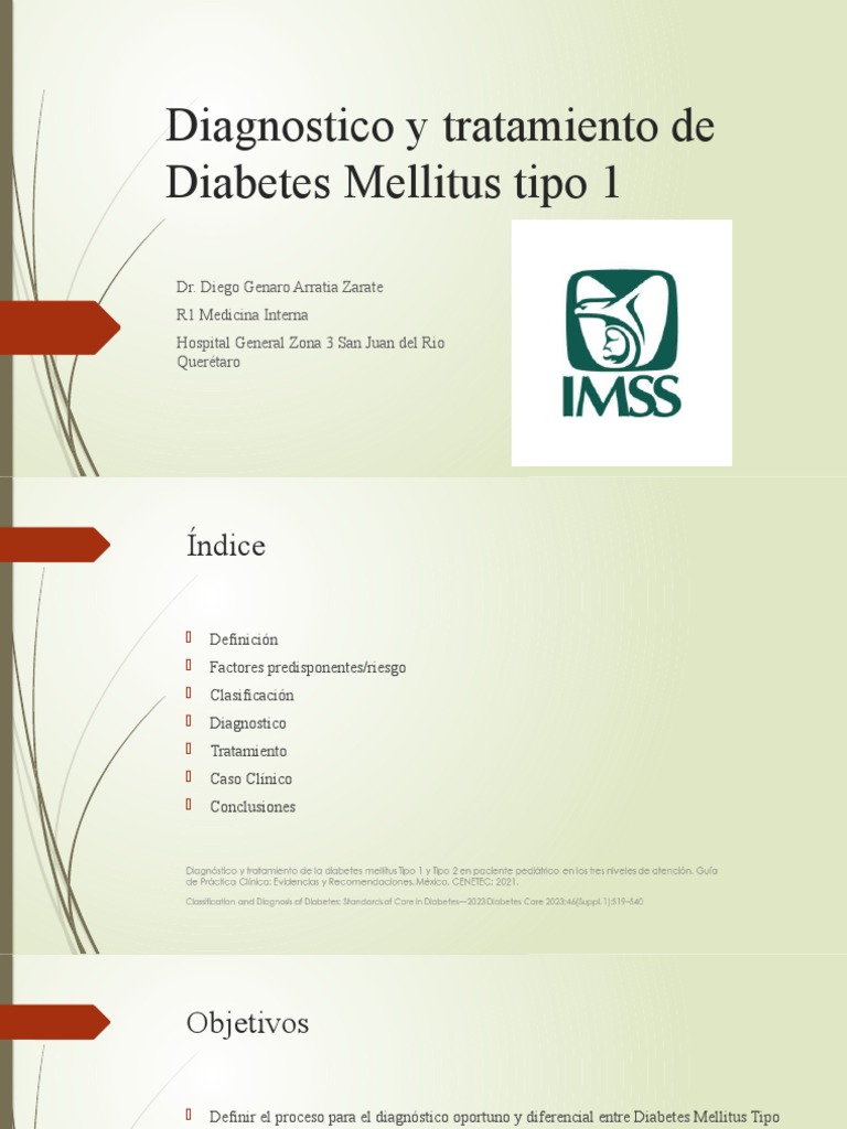 Diabetes Mellitus Tipo I | PDF | Diabetes | Insulina