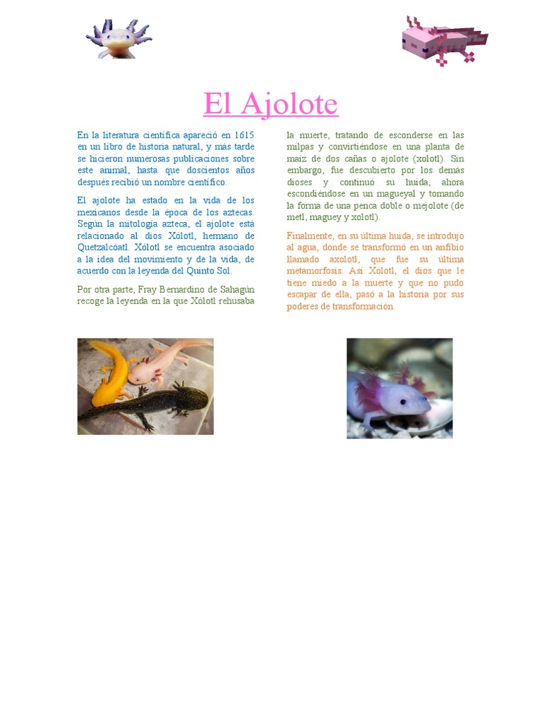El Ajolote | PDF