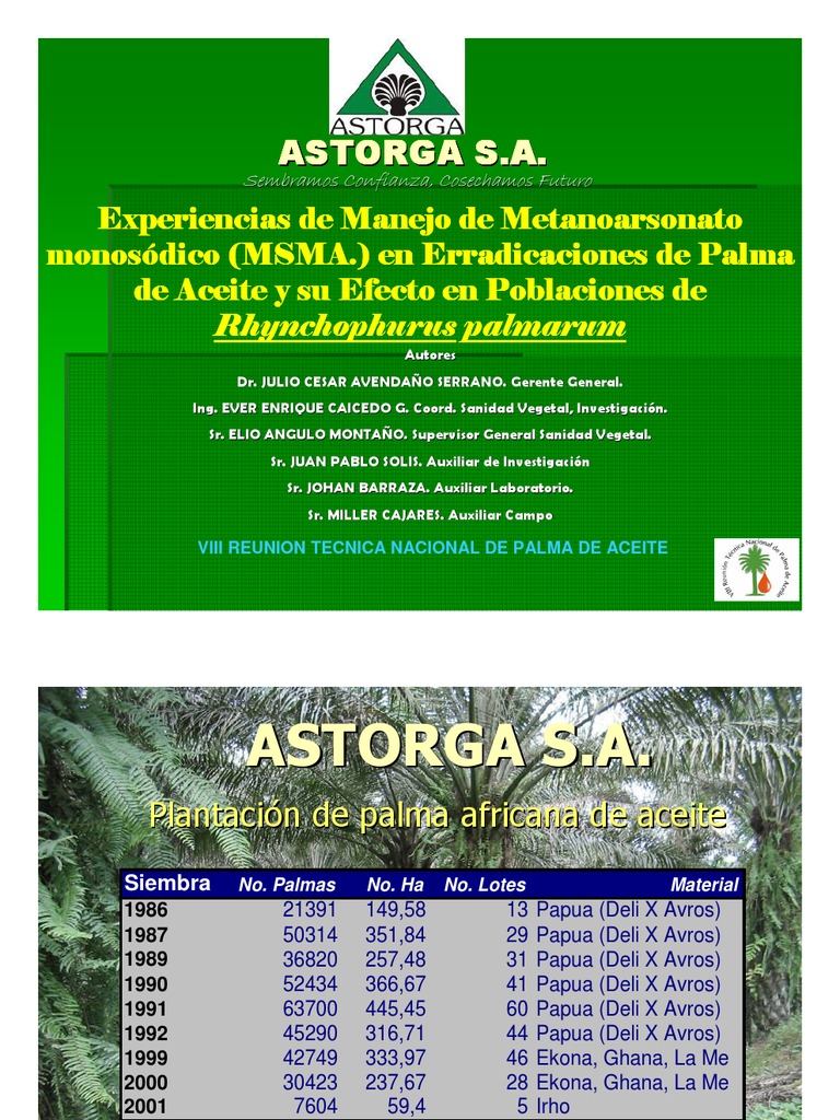 Efectividad del MSMA como herbicida | PDF | Horticultura y jardinería ...