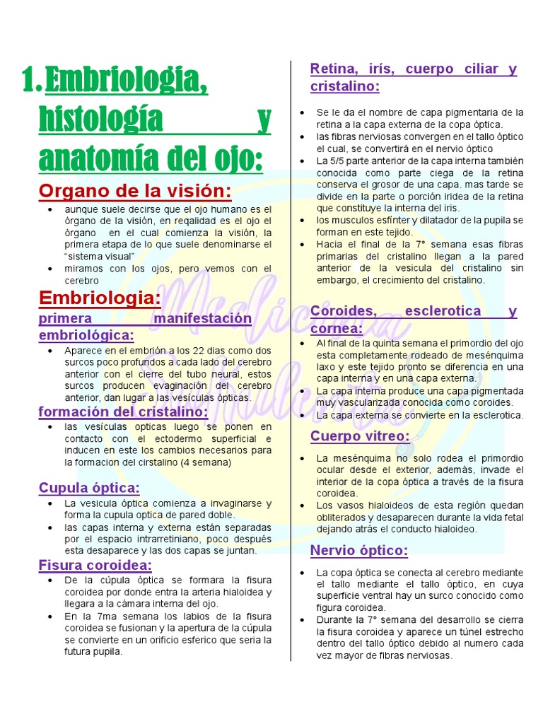 Oftalmo Completo | PDF | Ojo humano | Percepción visual