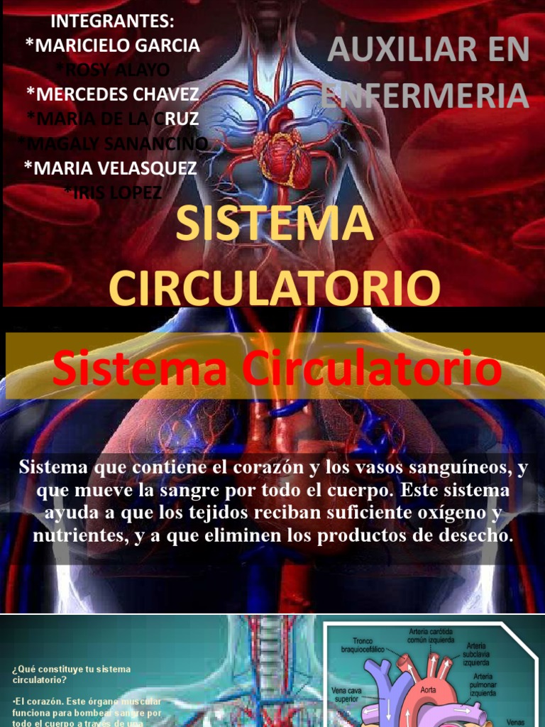 Sistema Circulatorio | PDF | Sistema circulatorio | Sangre