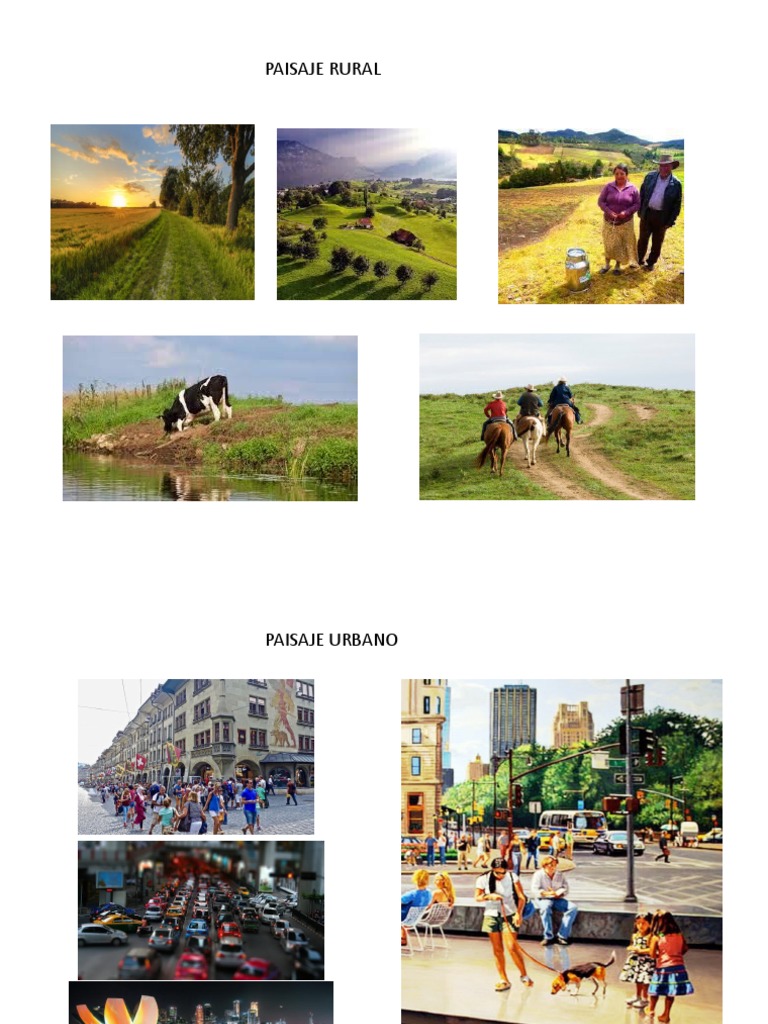 Area Rural Definicion En Espanol – MPUD