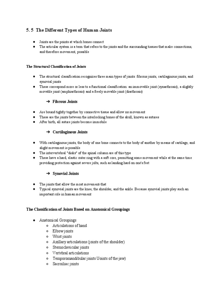 Kin Notes | PDF | Joint | Knee