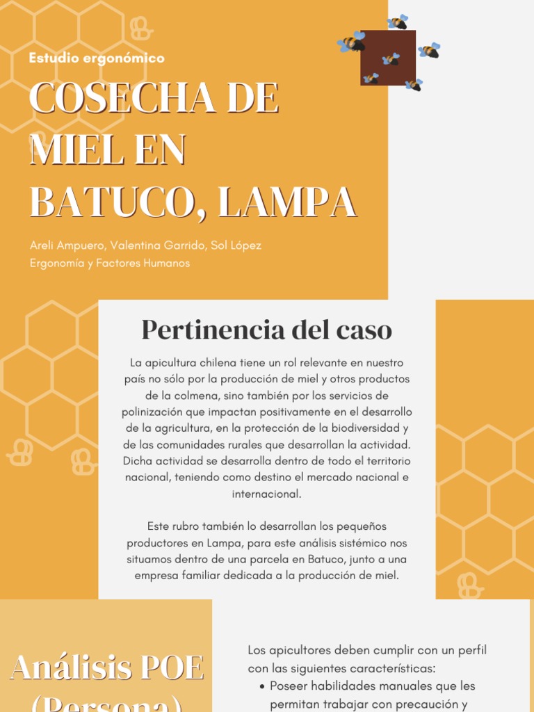 Cosecha De Miel Pdf Descargar Gratis Pdf Apicultura Colmena