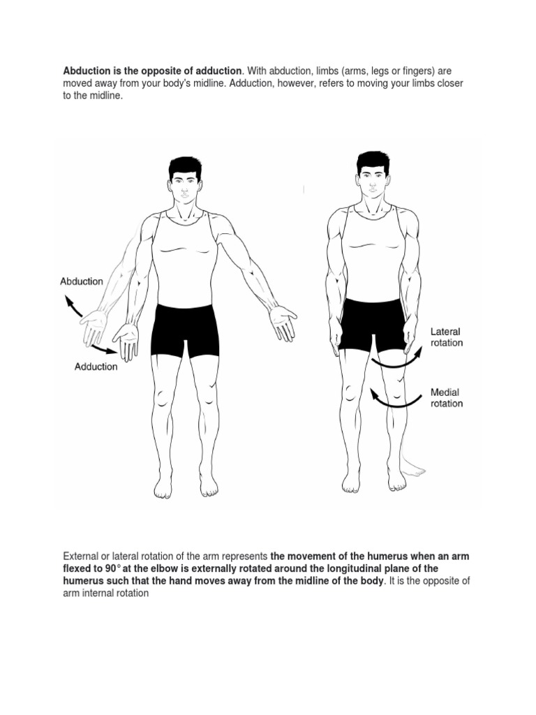 Anatomical Terms of Movements | PDF