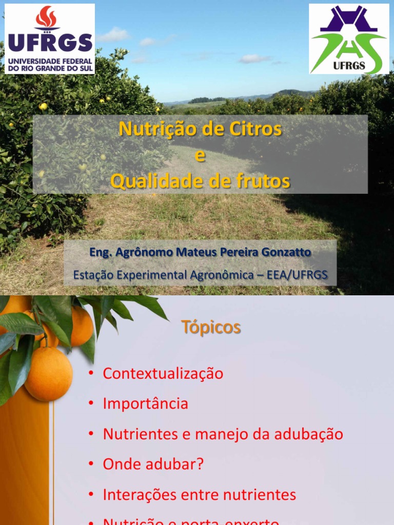 nutrição-e-fertilidade-de-citros-Grupex-24102018-comp.pdf | PDF ...