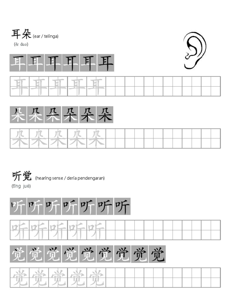 Chinese Body Parts and Senses | PDF