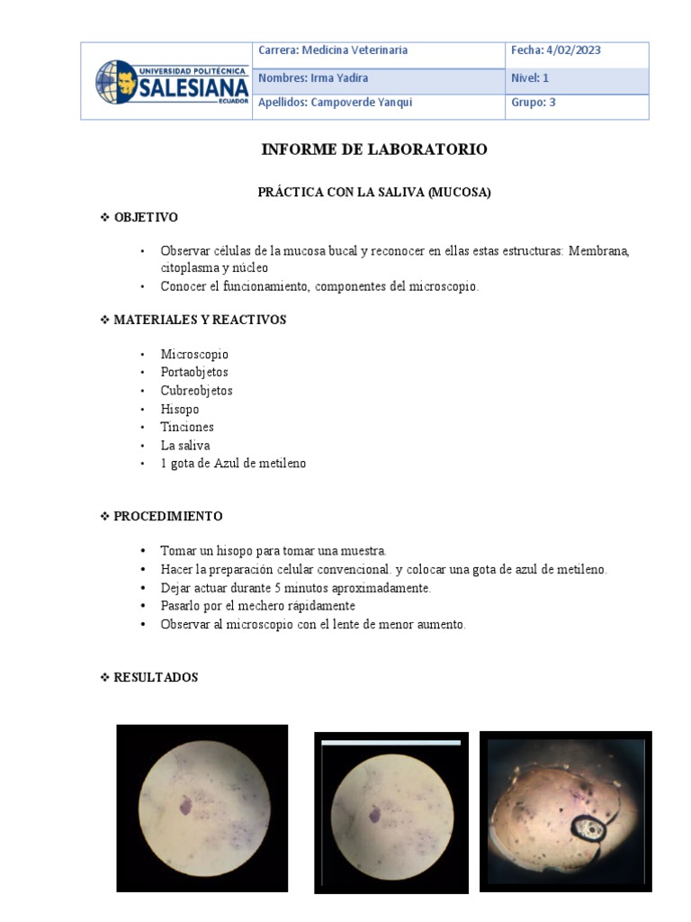 Informe de Laboratorio Celula Vegetal | PDF | Biología Celular) | Tinción