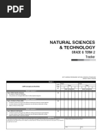 GR 4 NST Project | PDF | String Instruments | Musical Instruments