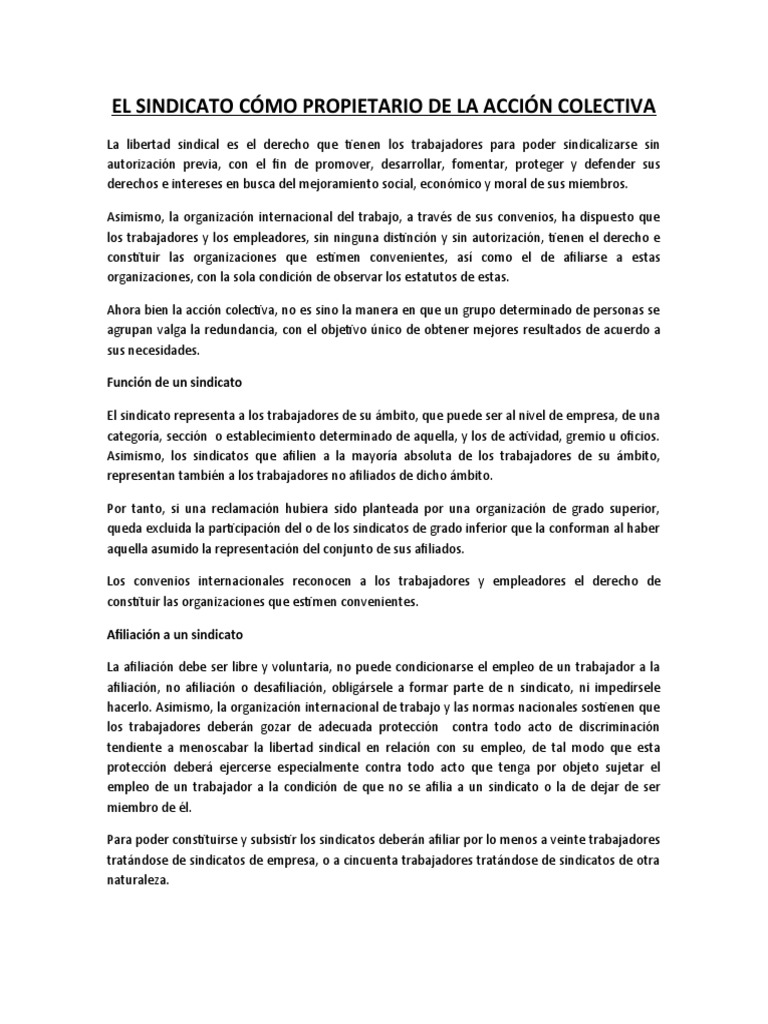 El Sindicato Cómo Propietario de La Acción Colectiva | PDF | Sindicato ...