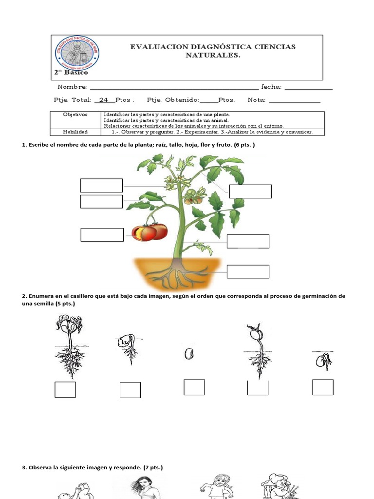 DIAGNOSTICO CIENCIAS NAT 2do Bco | PDF