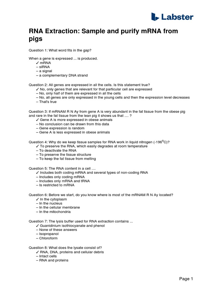 Questions Rna Extraction Sample and Purify Mrna From Pigs | PDF | Rna ...