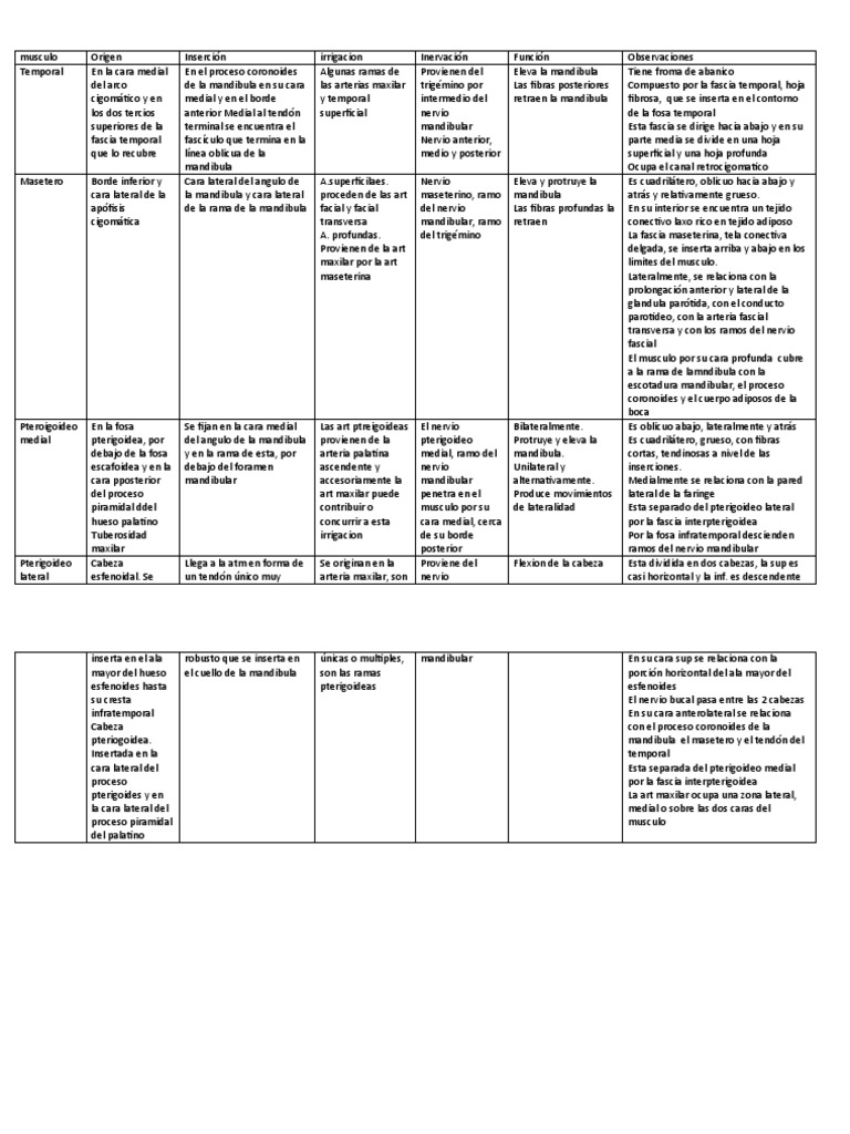 Musculos Atm | PDF | Anatomía | Sistema musculoesquelético