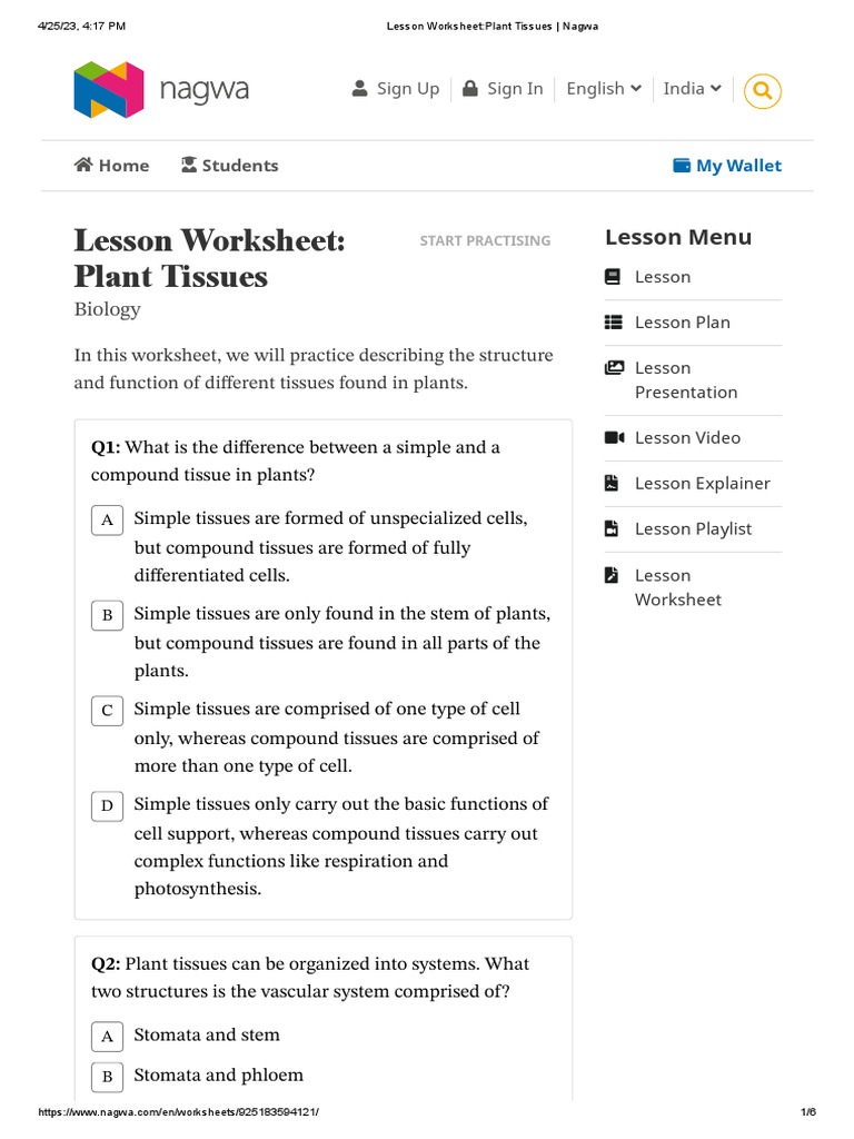 Plant Tissue Structure and Function Worksheet | PDF | Tissue (Biology ...