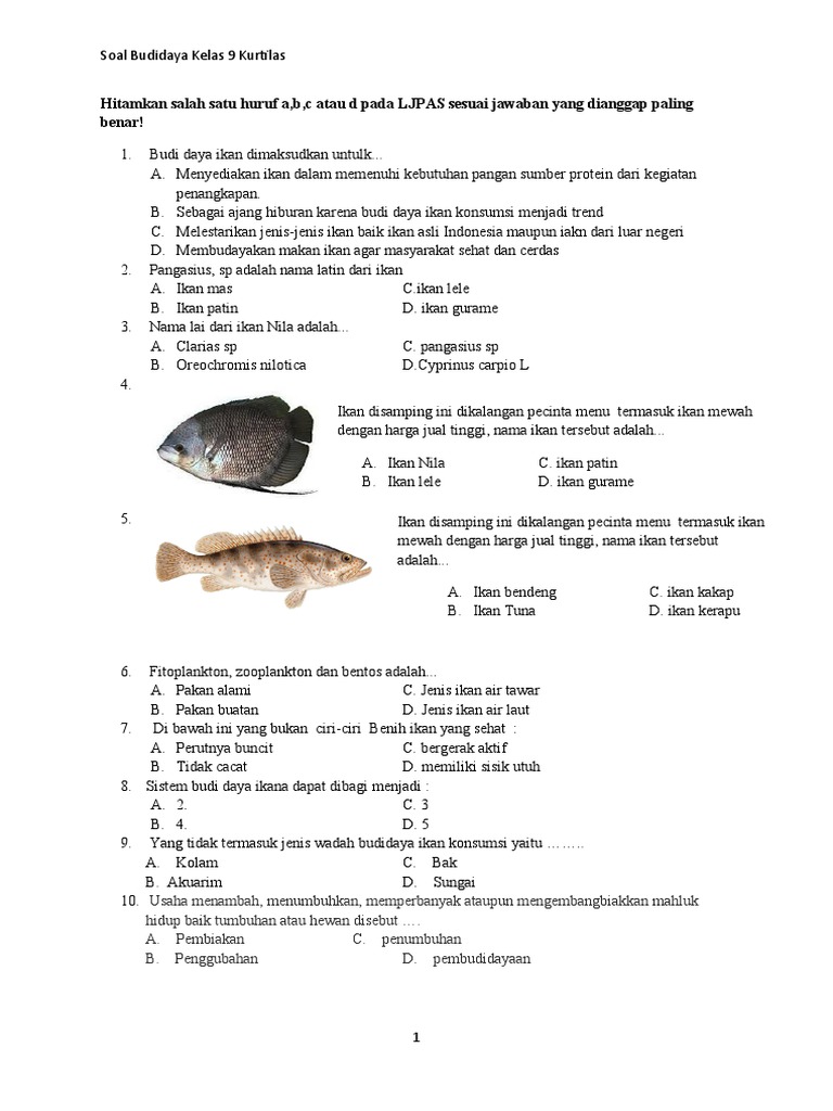 Soal PAS Prakarya Sub Budi Daya Kelas 9 K2013 | PDF
