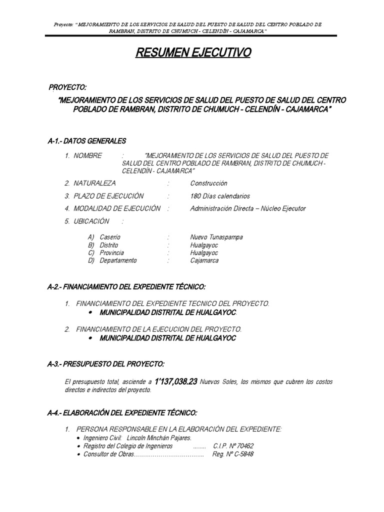 2 - Resumen Ejecutivo | PDF