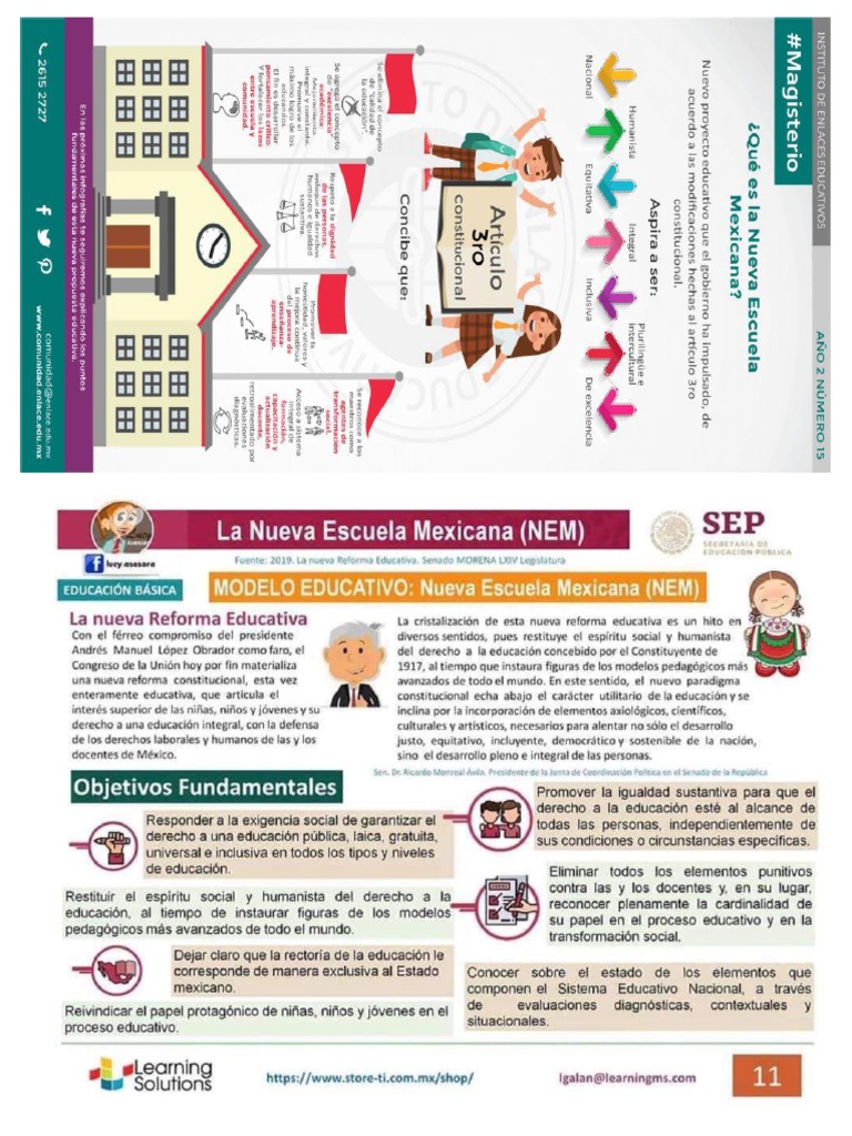 Infografia NEM | PDF