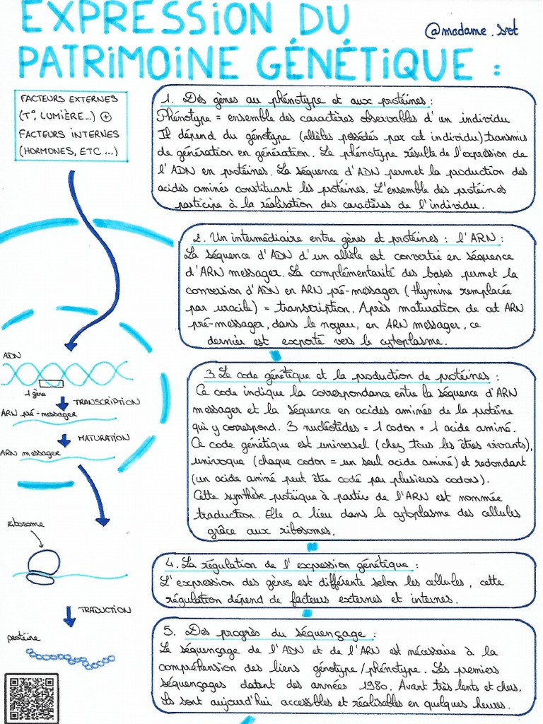 Expression du patrimoine génétique.pdf | PDF