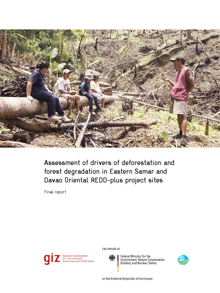 Assessment of Drivers of Deforestation and Forest Degradation in ...