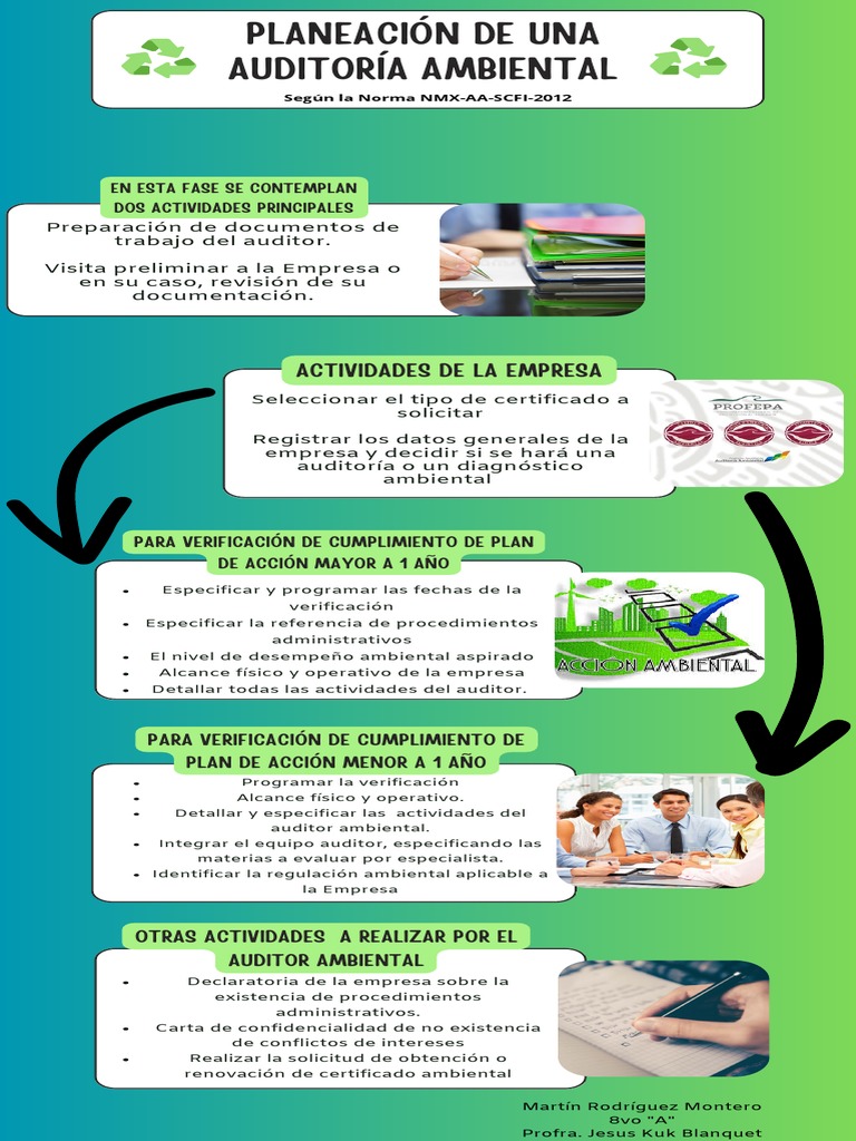 Infografía Planeación de Auditoría Ambiental | PDF