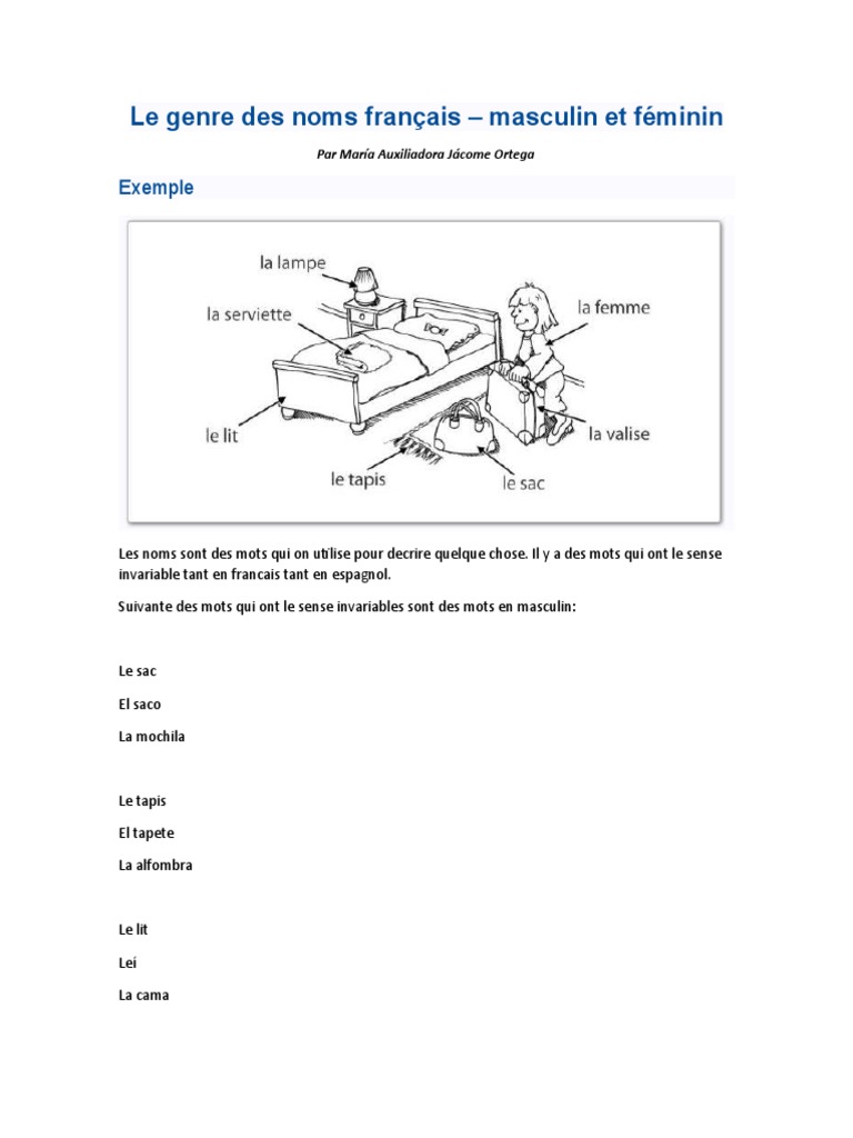 Genre des noms en français : masculin et féminin | PDF | Art