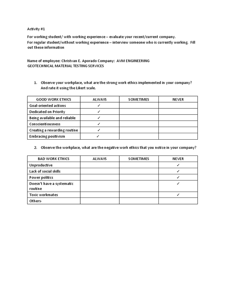 Work Ethics Evaluation Guide | PDF
