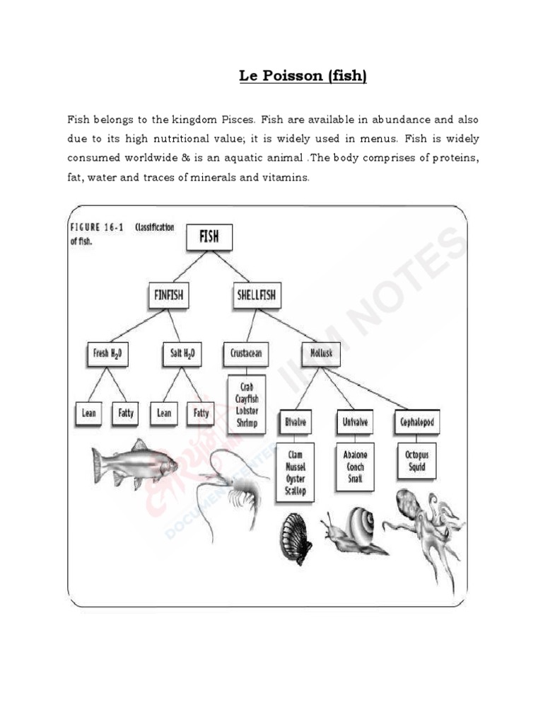 Unit - 4 Le Poisson (Fish) PDF | PDF | Roasting | Mollusca