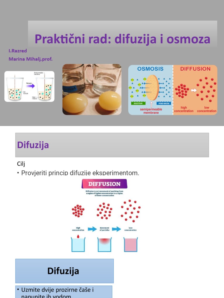 Praktični Rad Difuzija I Osmoza | PDF