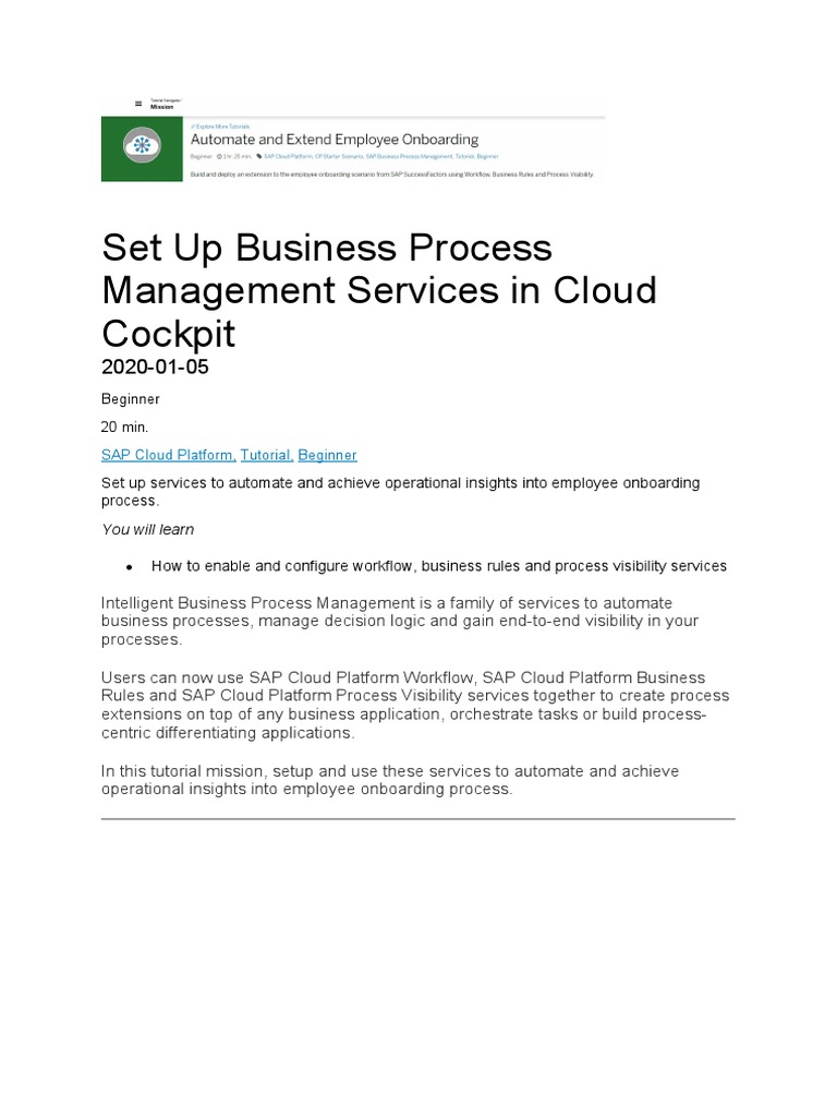 Set Up Business Process Management Services in Cloud Cockpit | PDF ...