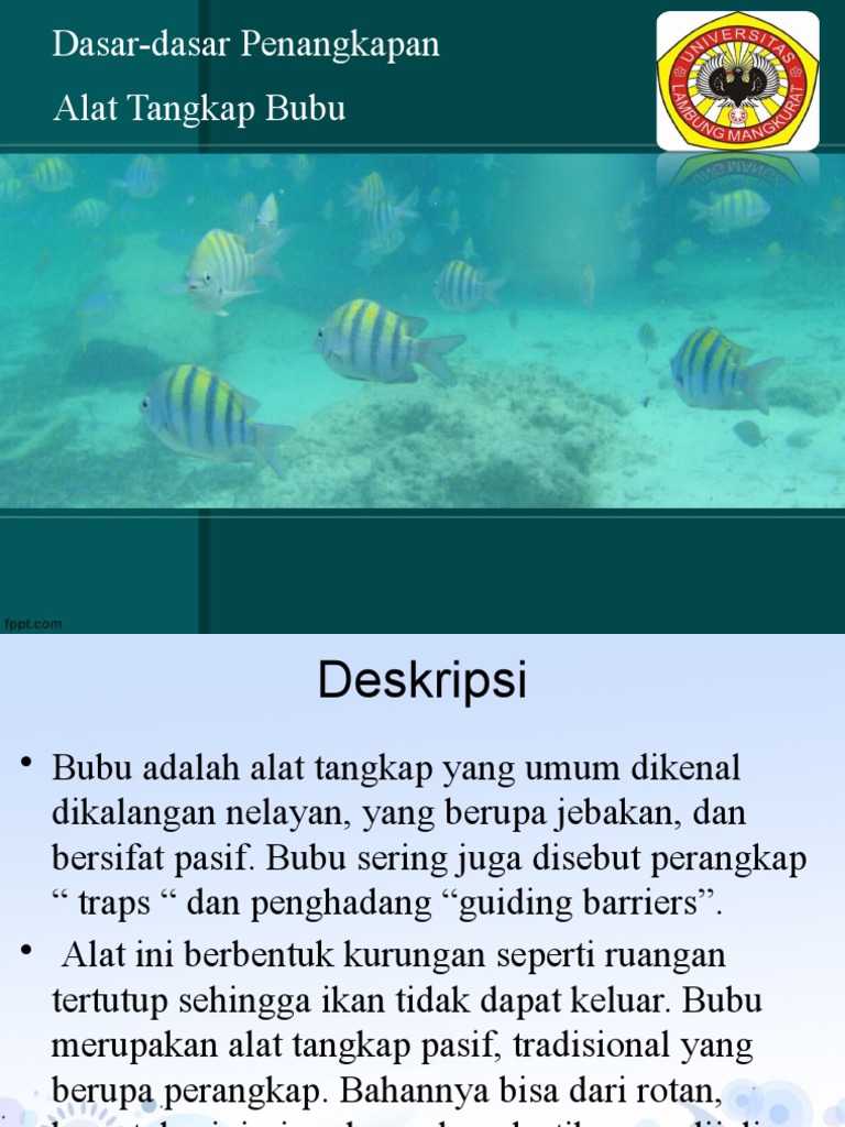 Daspen Alat Tangkap Bubu | PDF | Griya & Taman | Sains & Matematika