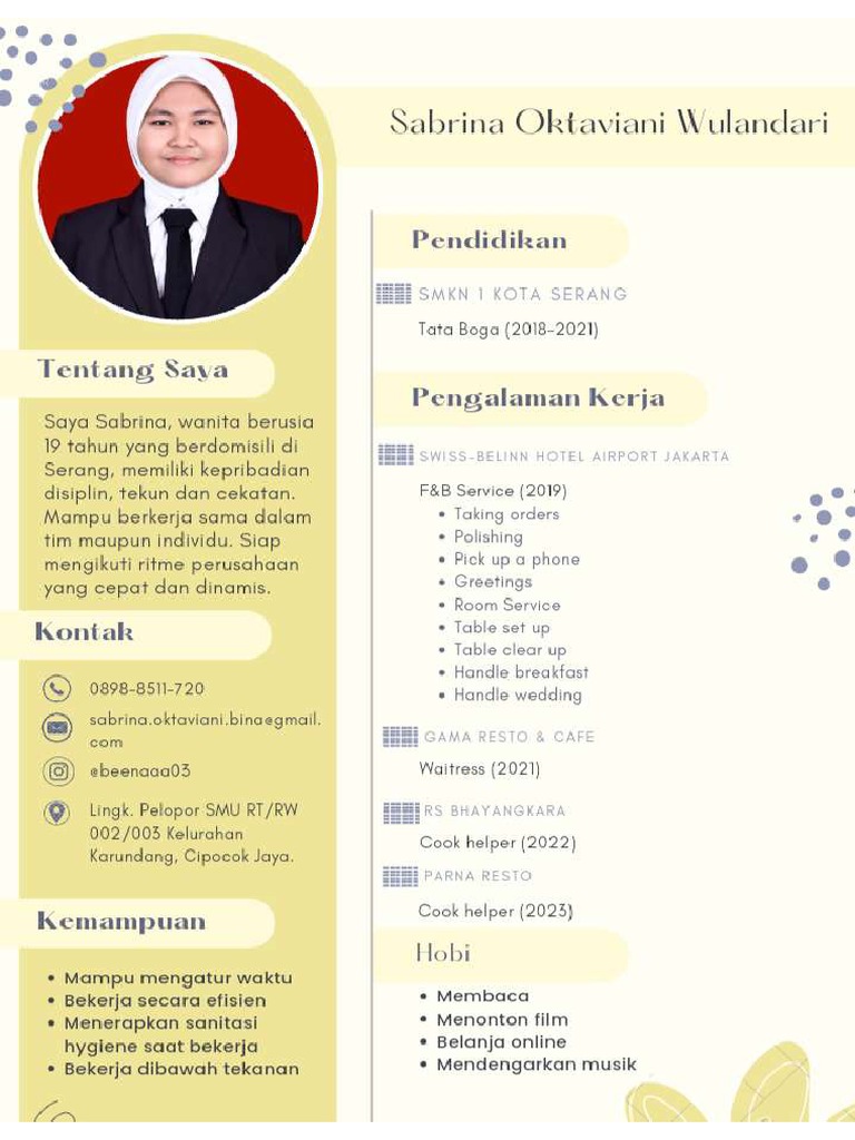 cv-resume-pdf