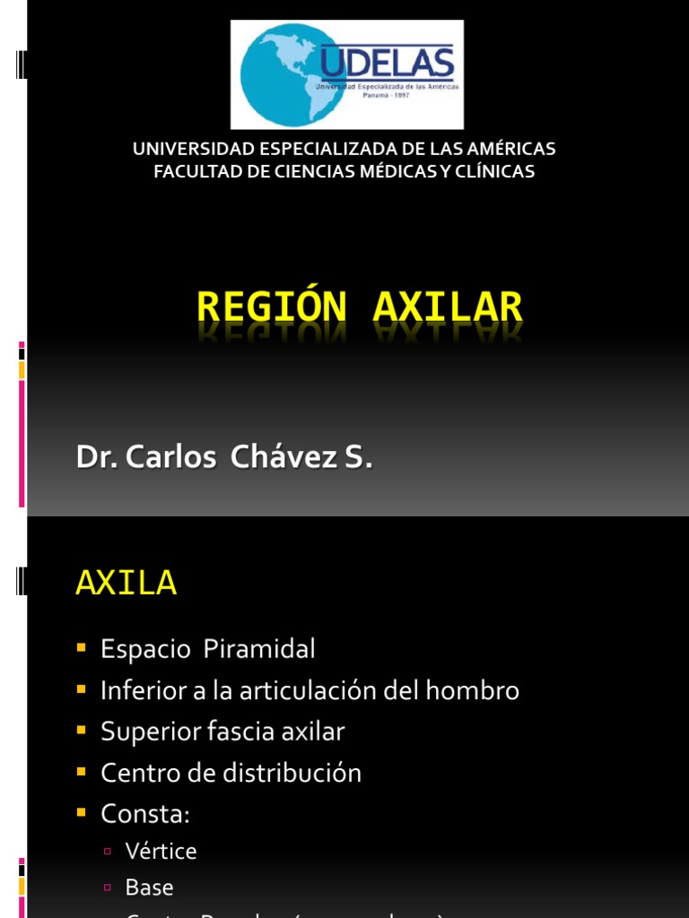 Anatomía de la Región Axilar y Plexo Braquial | PDF