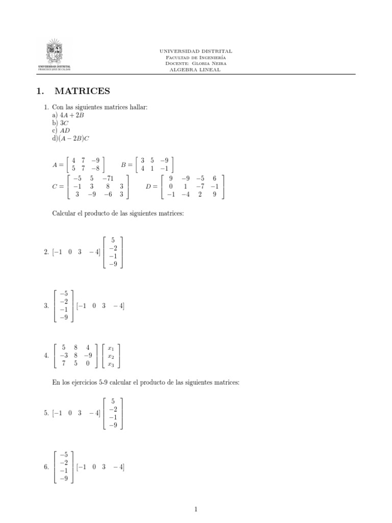 Algebra Lineal Matrices | PDF