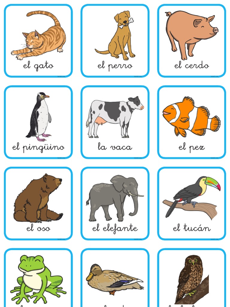 Es Au T 3967 Los Animales Tarjetas Educativas PDF | PDF