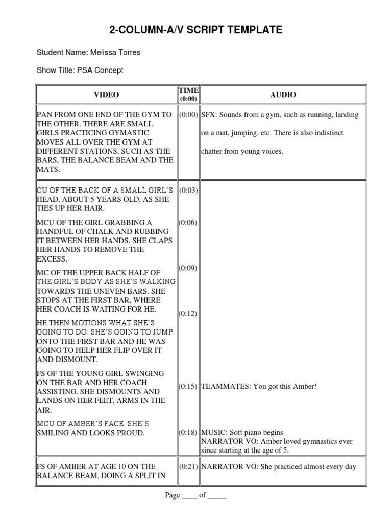 Comm 301 Psa Concept Script | PDF