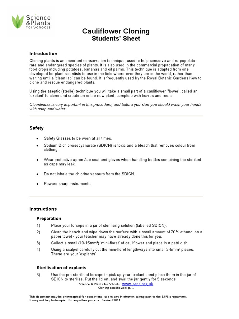 36447-SAPS - Cauliflower Cloning - Student Worksheet | Download Free ...