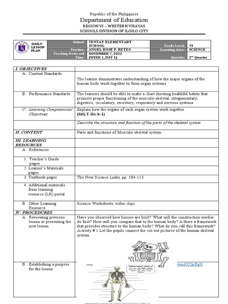 Grade 6 Skeletal System Lesson Plan | PDF | Bone | Skeleton