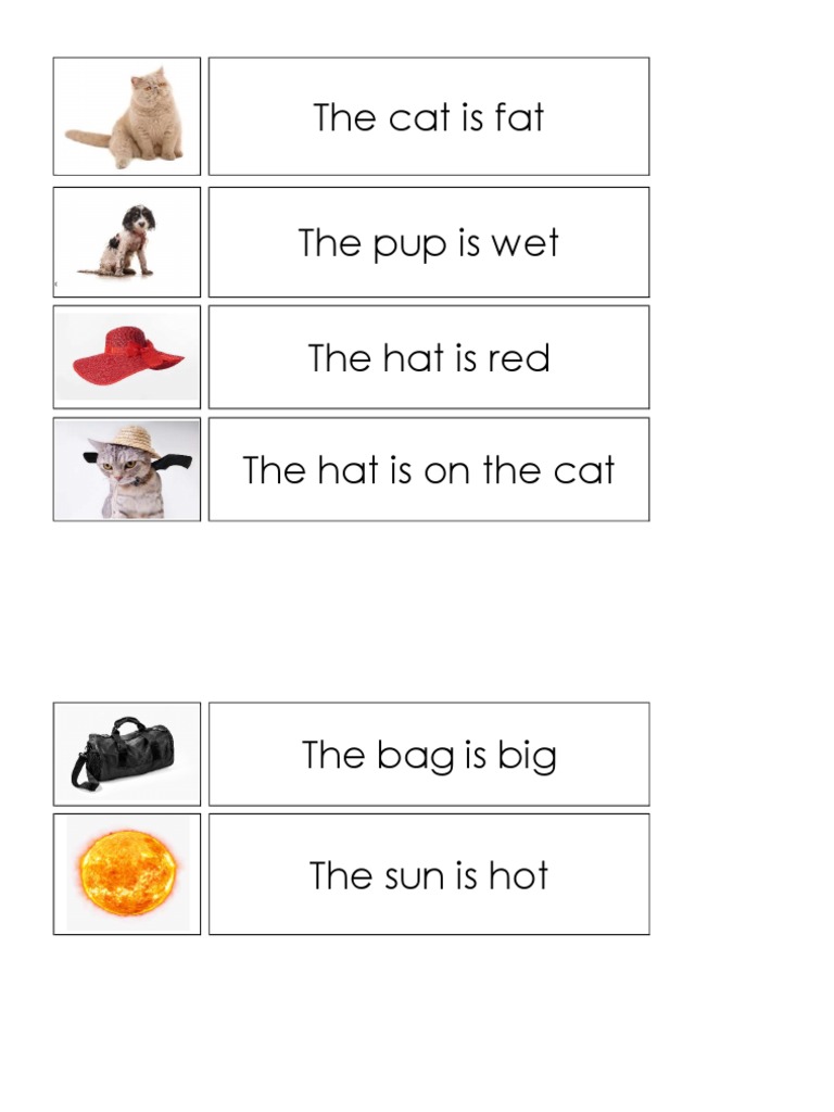 Montessori Pink Sentence Cards | PDF