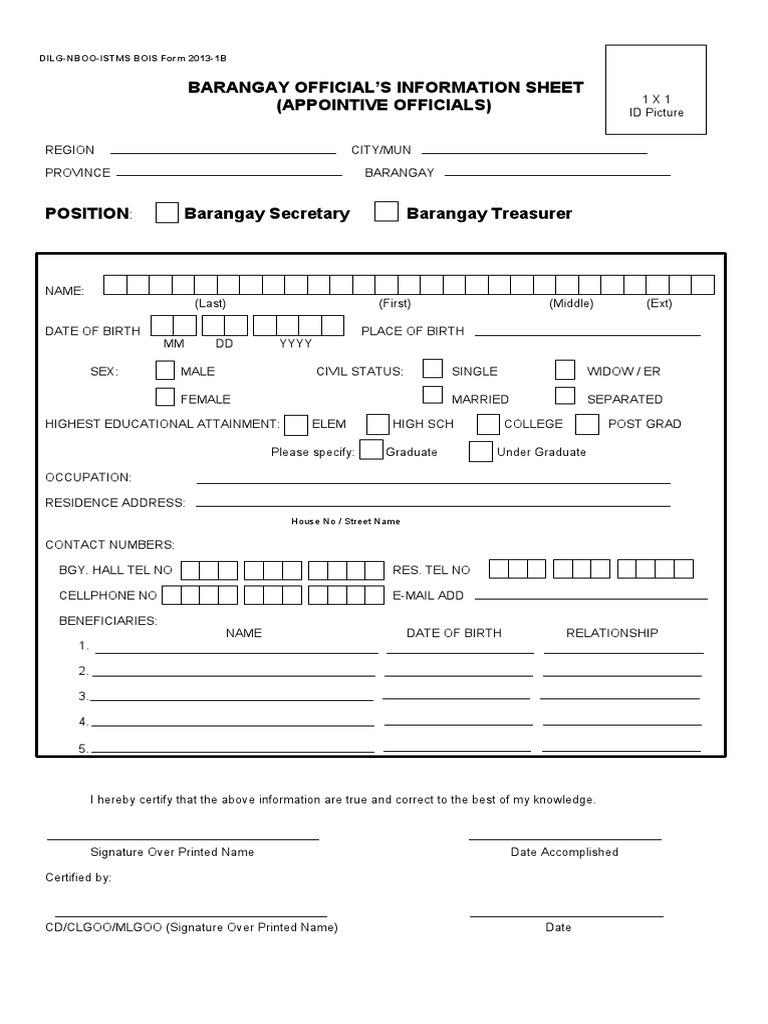 Bois Form - Appointive Officials | PDF