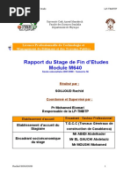 D 13 Modèles Présentation Soutenance Pfe, Stage Et Mémoire en Powerpoint | PDF