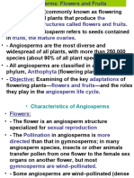 Angiosperm Reproduction Recap Guide | PDF