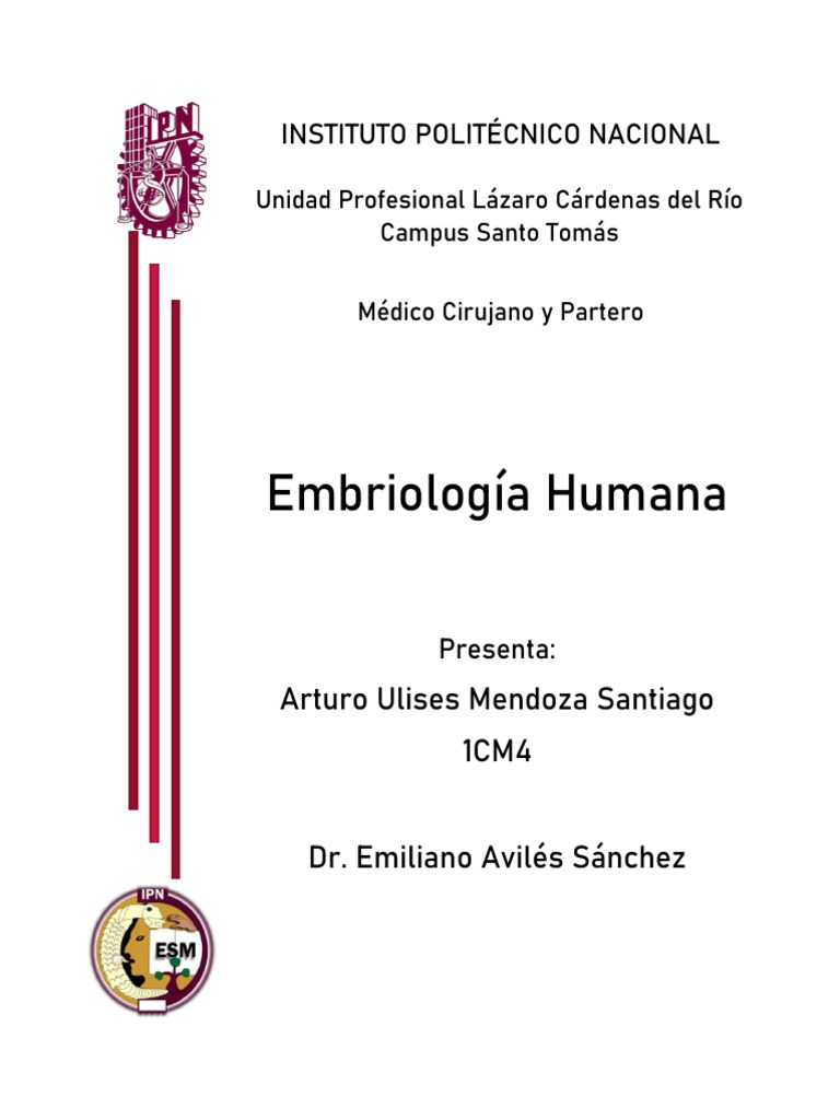Mendoza Santiago Arturo Ulises 021222 | PDF | Ciencia y matemáticas