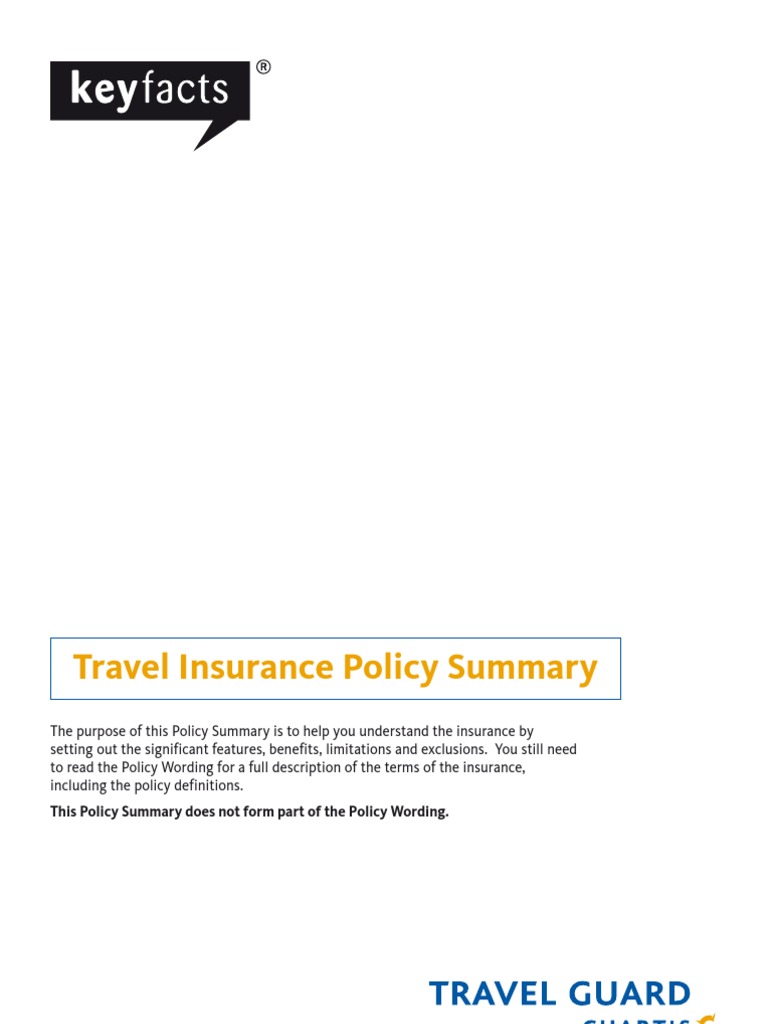 Travel Insurance Guide | PDF | Theft | Baggage