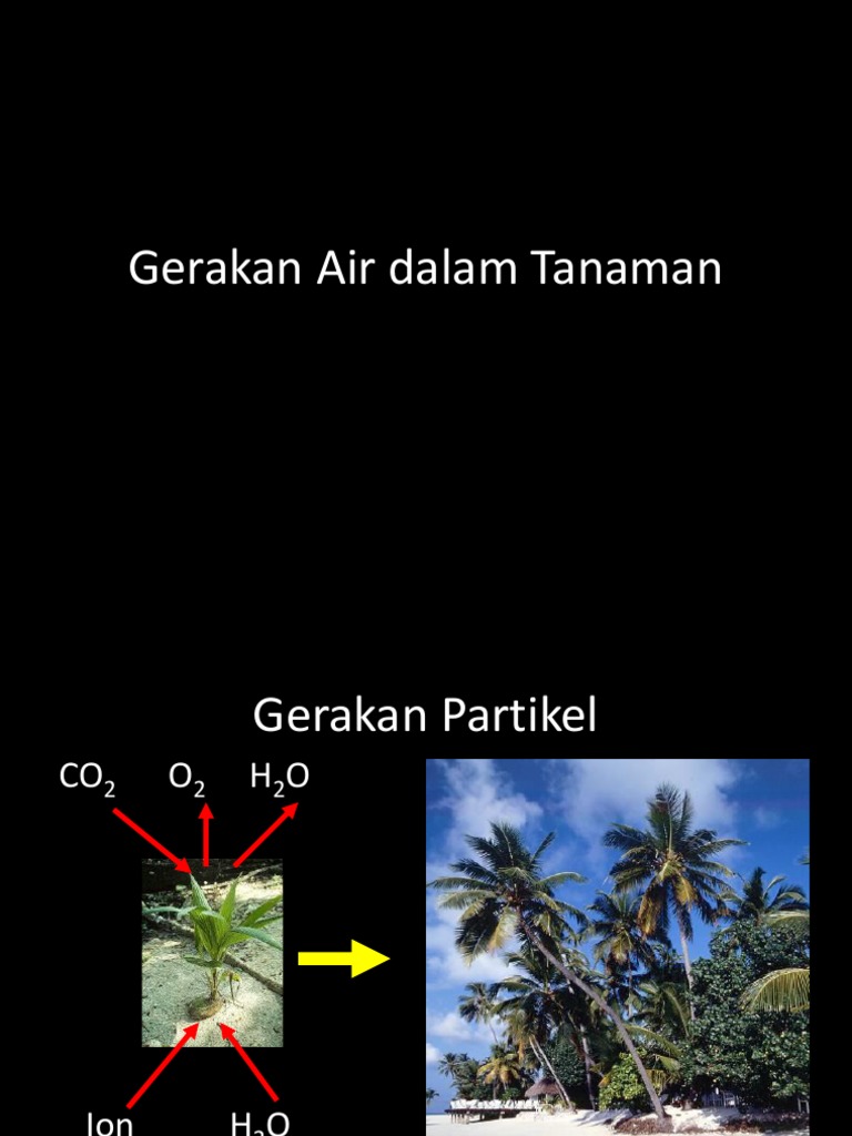 Difusi, Imbibisi, Osmosis, TO, T, PA PDF | PDF